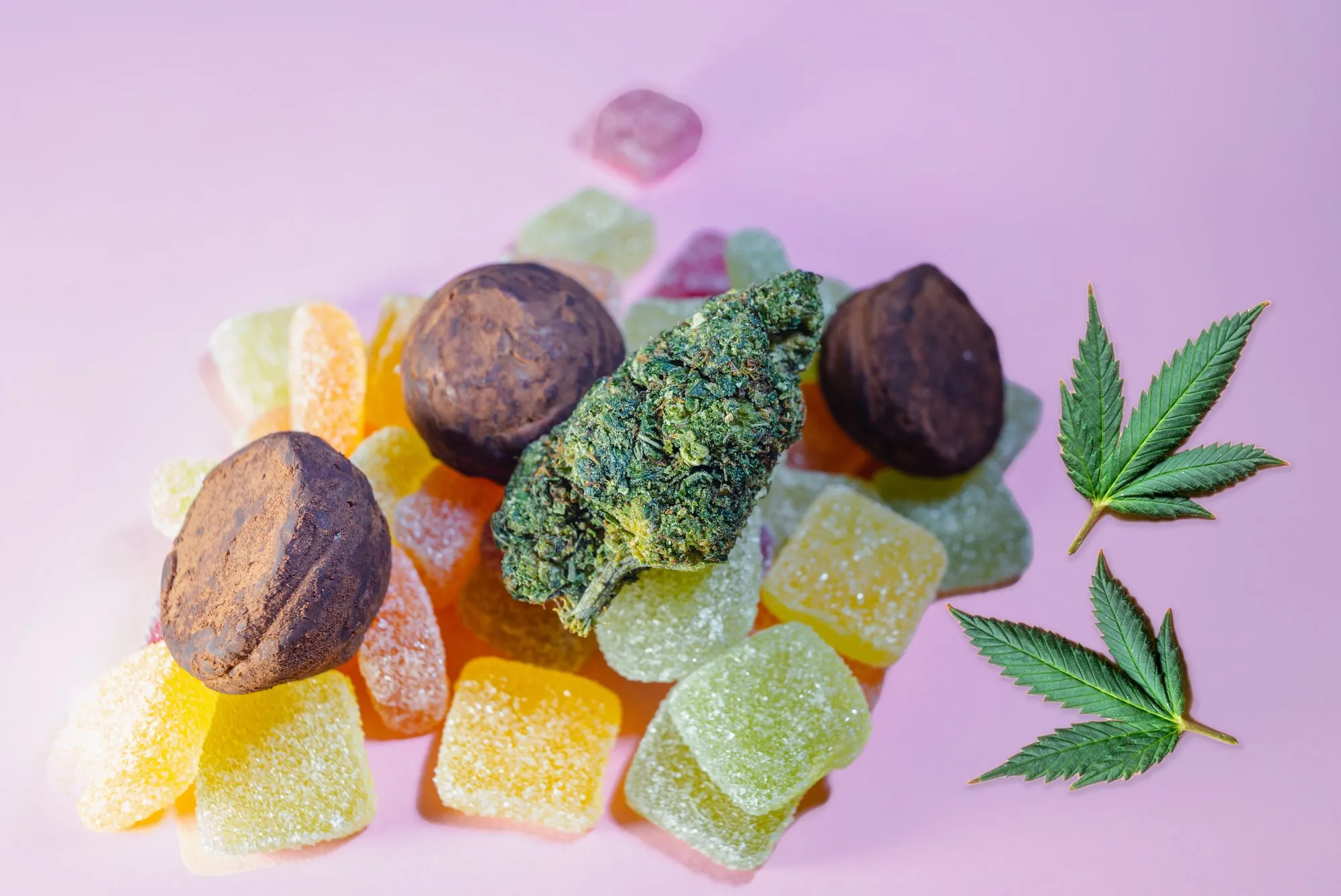 4 Types of Cannabis-Infused Edibles You Should Try | Ganja Garden